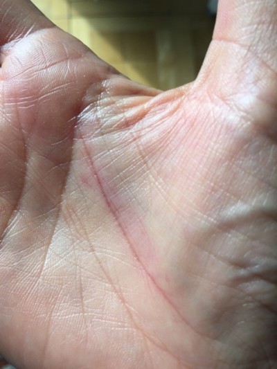 What do the lines on your palm mean? – Hand Analysis Online