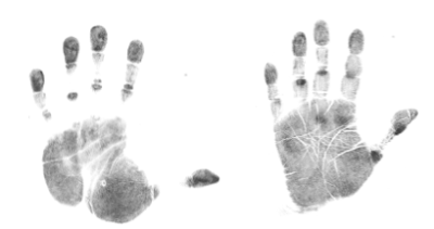 Hand Analysis Online – Your life purpose is visible in your fingerprints